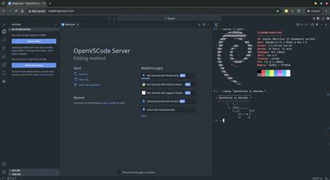 Rizwan Hasan On Linkedin Opensource Webdevelopment Vscode Linux