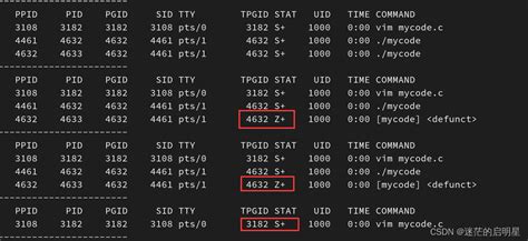 《linux从练气到飞升》no19 进程等待 Csdn博客