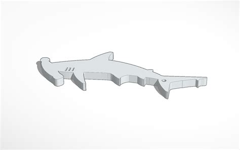 3d Design Tiburon Tinkercad 3d Design Tiburon Tinkercad