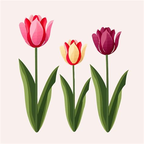 Premium Vector Collection Of Elegant And Sophisticated Tulip Vector Patterns Premium Vector Collection Of Elegant And Sophisticated Tulip Vector Patterns