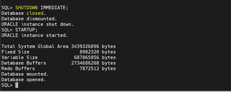 Oracle【使用篇】09：如何修改数据库服务名oracle修改服务名 Csdn博客