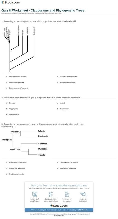 12 Reading A Phylogenetic Tree Worksheet