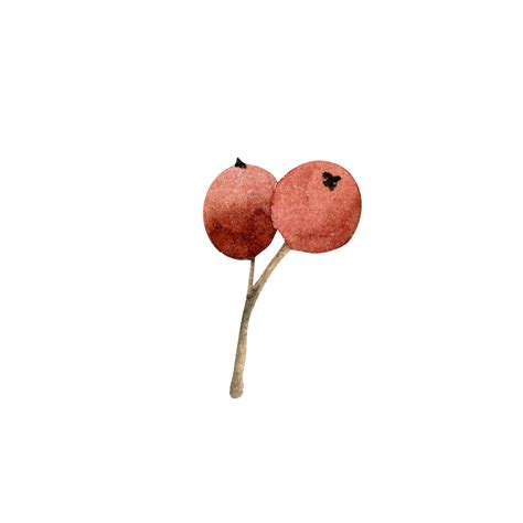 Watercolor Autumn Forest Berries 11459984 Png