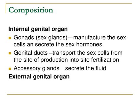 PPT The Reproductive System PowerPoint Presentation Free Download ID