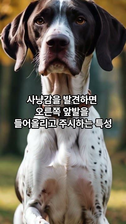 포인터의 특성 Pointer Youtube