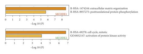 integrating transcriptomic datasets and proteomic profiles to identify