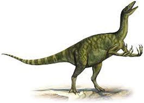 Ammosaurus Dinosaur Facts Information Dinosaurs Extinction