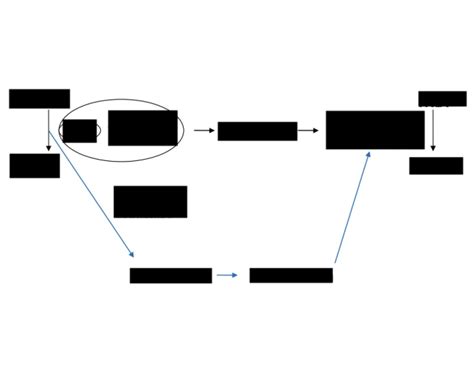Deoxyribonucleotide Synthesis Quiz