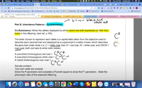 Monohybrid Crosses Grade Biology Flashcards Quizlet