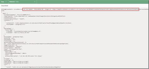 Generic OCI Resource Manipulation With OCI CLI Raw Request Conclusion AMIS Technology Blog