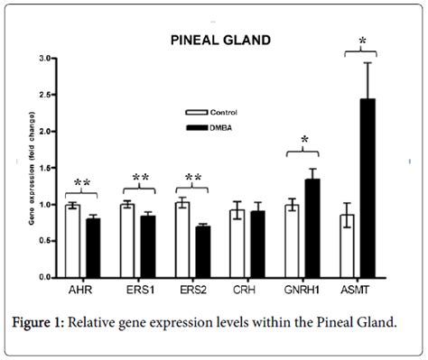 Decrease In Aryl Hydrocarbon Receptor And 17Ã Â² Estradiol Receptor Aandb Gene Expression In The