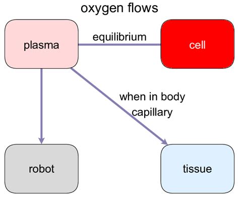 Circulation From Lungs To The Rest Of The Body And Back To The Lungs