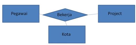 Xleropedia Basecamp Entity Relationship Diagram Erd Binary Enary Dan N Ary