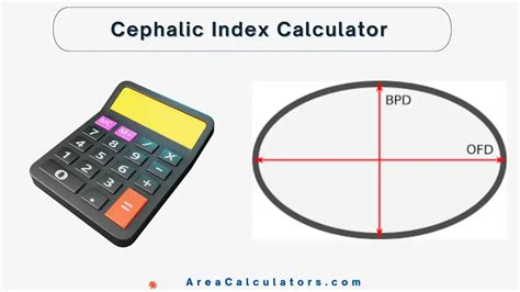 Cephalic Index Calculator Area Calculators