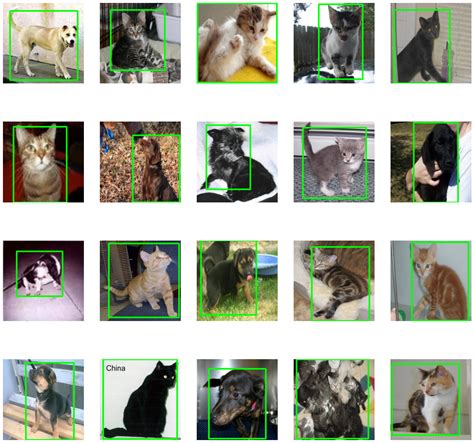 Object Localization Using Pytorch Part 2