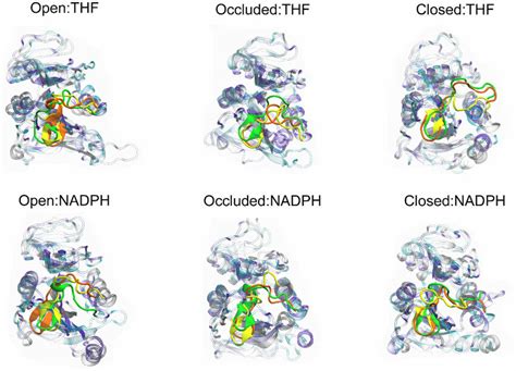 Overlay Of The Representative Structures From The Most Populated Download Scientific Diagram