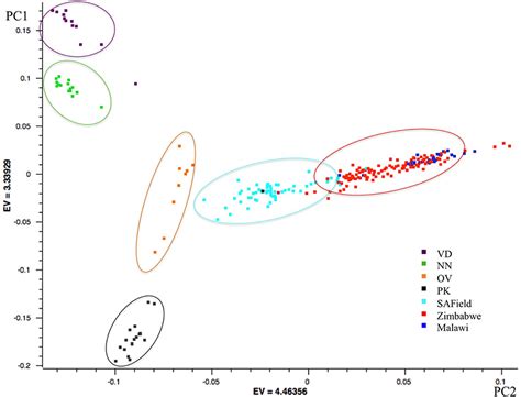 Pca Based Clustering Of Populations Population Clusters Are Within The Download Scientific