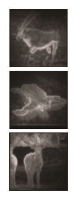 A Sample Images From Stl 10 Dataset B Saliency Maps For Original Download Scientific