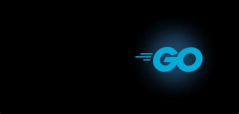 hire golang developers for your web project qit software