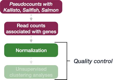Count Normalization With Deseq2 Introduction To Dge