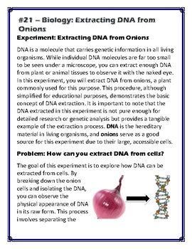 Science Experiment Biology Extracting DNA From Onions TPT