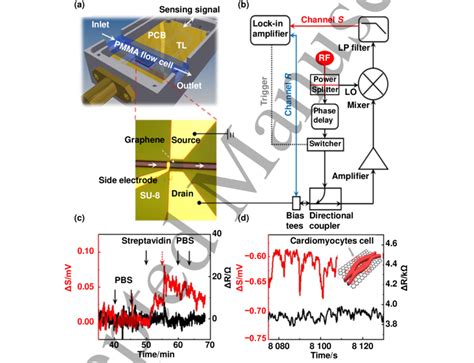 Dielectric Modulated Uhf Gfet Biosensors A Schematic Of Gfet In Rf Download Scientific