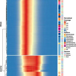 Normalized Genomic Coverage Heatmap Showing The Distribution Of Read