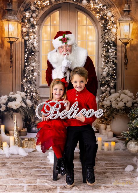 Holiday Mini Session Background Options Sandy Puc Photography