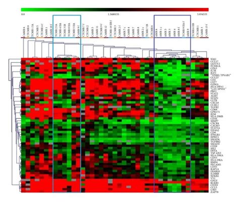 Unsupervised Hierarchical Clustering Of Samples With Acute Or Chronic