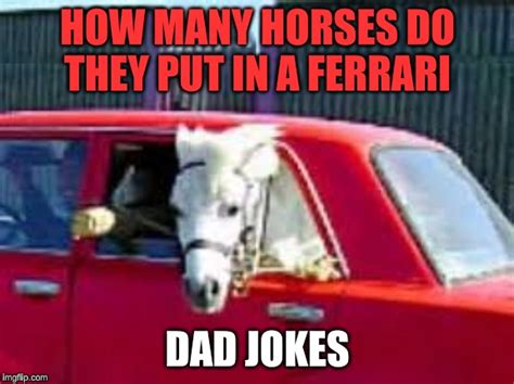 Horse In Car Imgflip