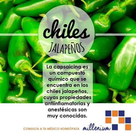 Laboratorio Millenium Los Chiles Jalapeños Te Pueden Ayudar A Olvidar