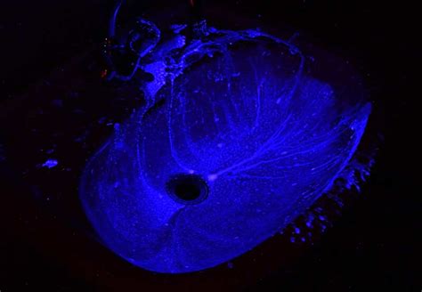 Luminol Means For The Detecting Traces Of Biological Origin