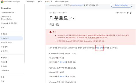 크롬드라이버 Chromedriver 최신버전 다운로드 방법 Linked Issue