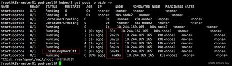 【云原生 Kubernetes 实战】08、零故障升级之 Pod 健康探测——启动、存活、就绪探测pod健康监测预警 Csdn博客