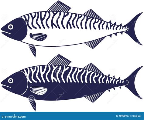 Mackerel Stock Vector Illustration Of Isolate Abstract 48928967