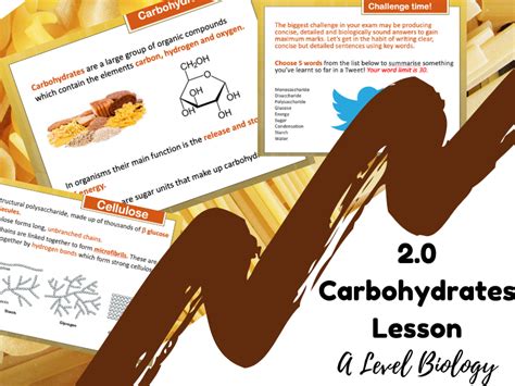 Carbohydrates Biomolecules A Level Biology 5 Lessons With