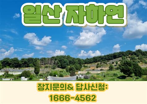 일산공원묘지 어디로 모셔야 할지 궁금하시면 자하연 일산 네이버 블로그