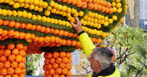 오렌지와 레몬으로 망통 레몬 축제 준비