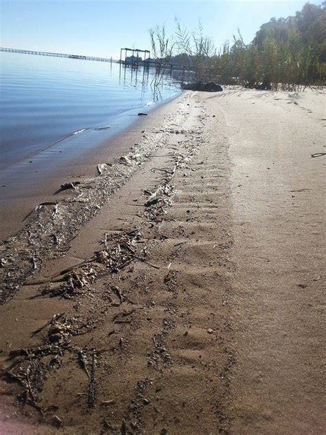 9 Best Beach Cusp Images On Pinterest Larger Store And Wave