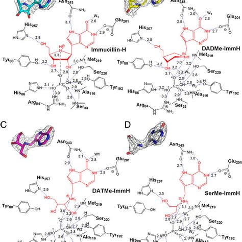 Stereoviews Of Four Generations Of Transition State Analogue Inhibitors