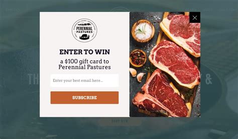 10 Opt In Form Examples And Templates That Will Grow Your Subscriber List Fast Optimonk Blog