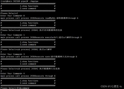 Linux系统 进程间通信 Linux系统 进程间通信