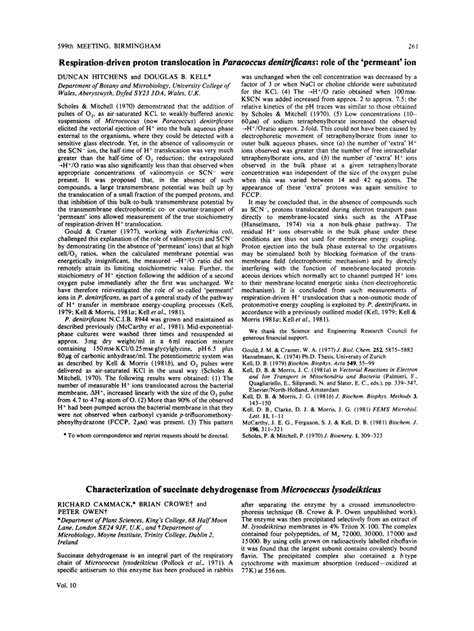 Pdf Respiration Driven Proton Translocation In Paracoccus Denitrificans Role Of The