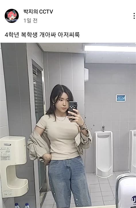 적당한 가슴크기  유머 게시판