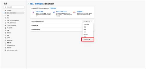 Edge浏览器设置解决主页重定向到中国区的问题 Peppers Site