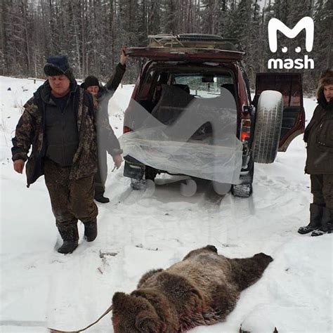 На месторождении в Якутии голодный медведь чуть насмерть не загрыз двух ...