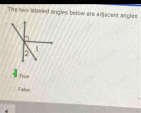 Solved The Two Labeled Angles Below Are Adjacent Angles True False