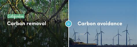 Carbon Removals Vs Carbon Avoidance Whats The Difference Ecologi