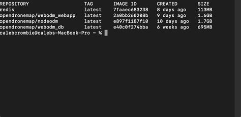 Unable To Bring Processing Node Online General Help OpenDroneMap