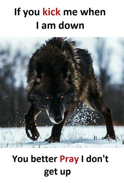 If you kick me when I am down, you better pray I don't get up. I remember eveeurhing ...